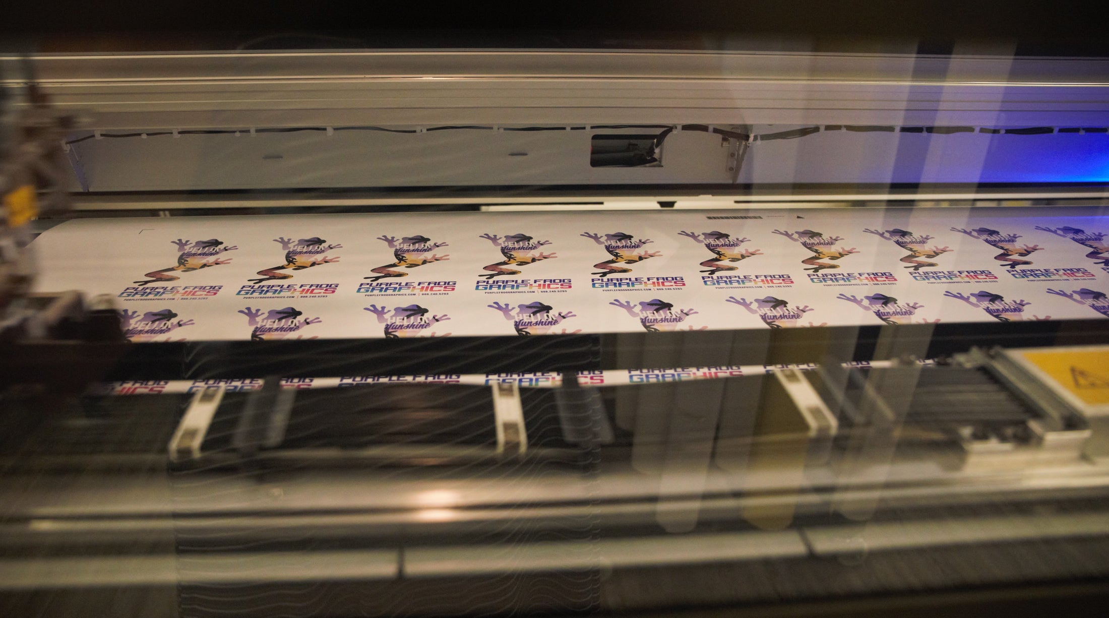 Purple Frog Graphics